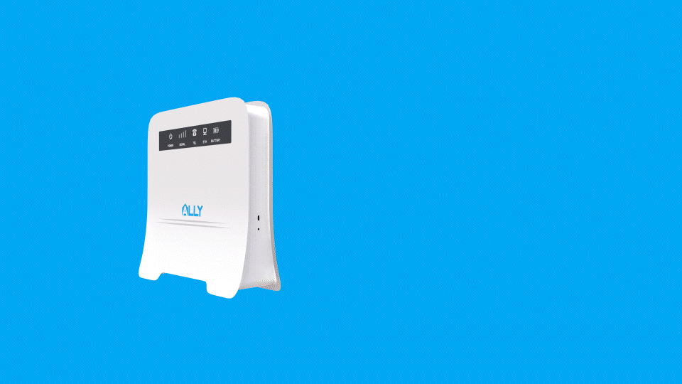ALLY - Unlimited Local & Long distance calls